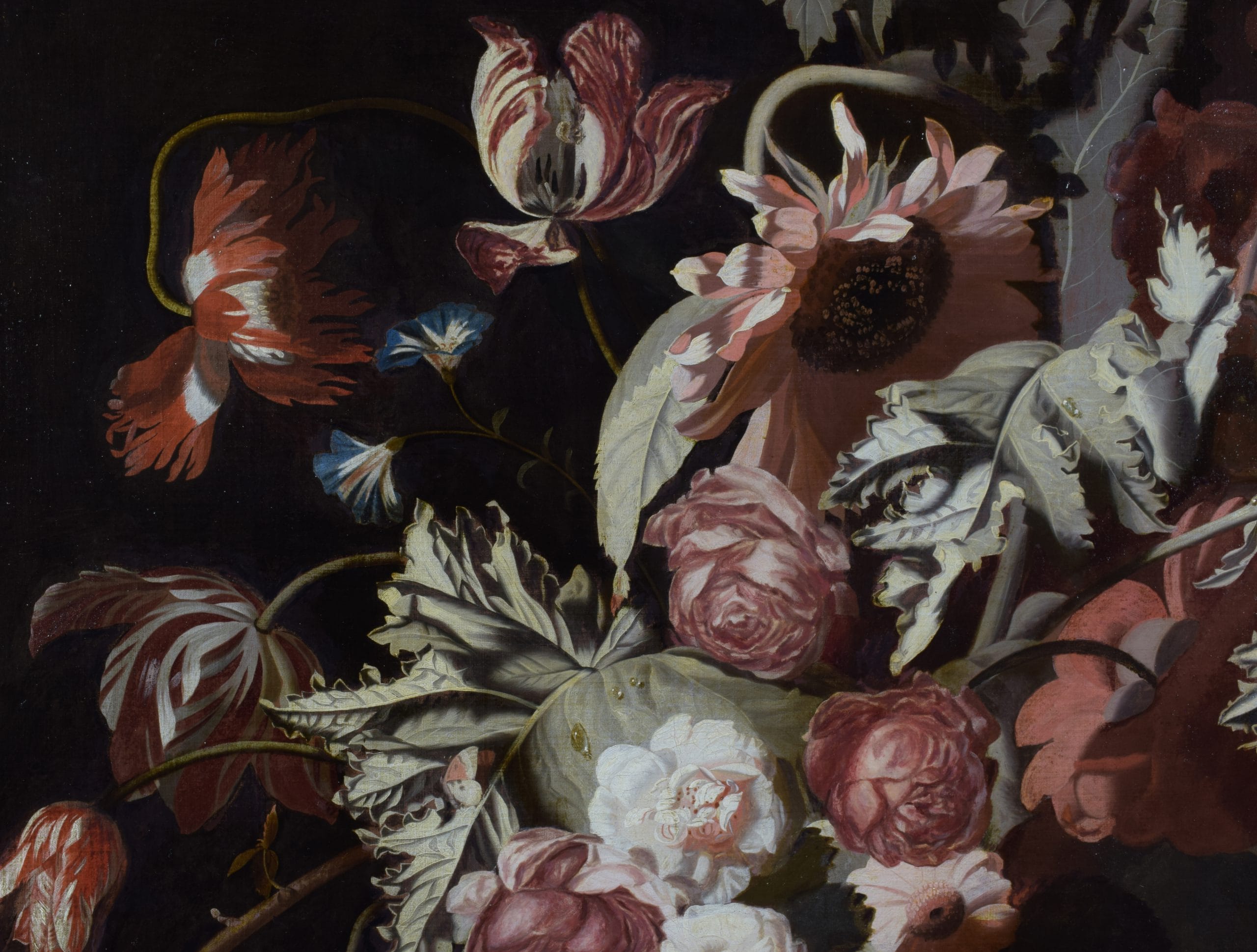 Simon Verelst (1644–1710) - White Rose Fine Art