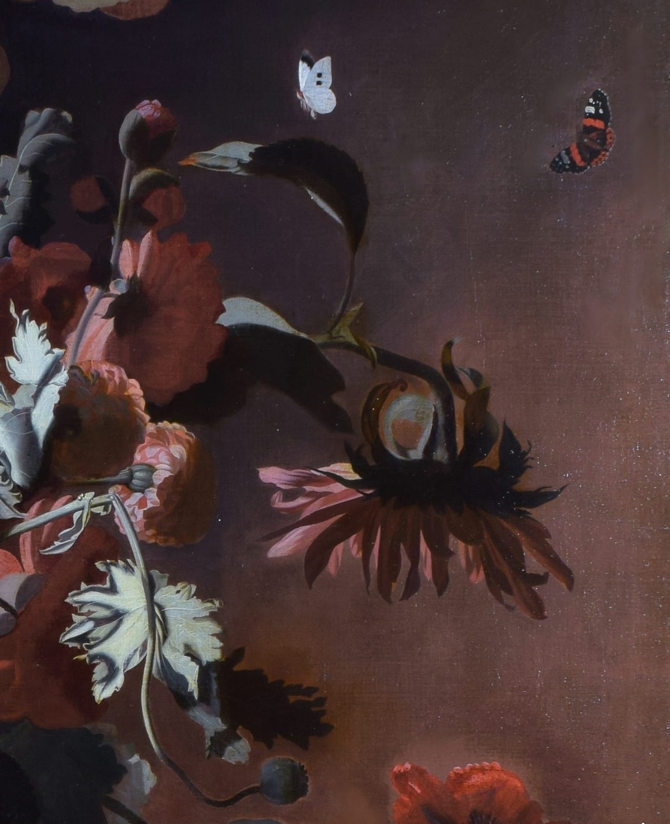 Simon Verelst (1644–1710) - White Rose Fine Art