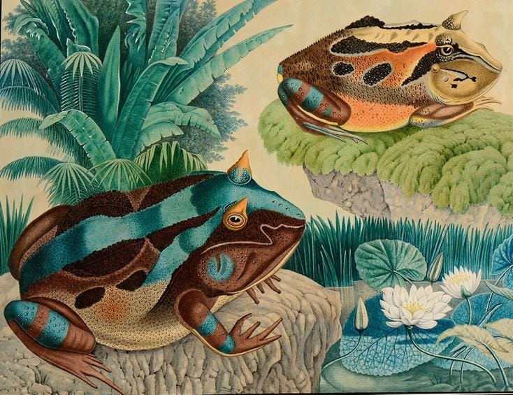 Gustav Friedrich Schlick (1804–1869) - White Rose Fine Art