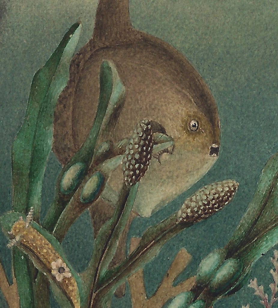 Gustav Friedrich Schlick (1804–1869) - White Rose Fine Art