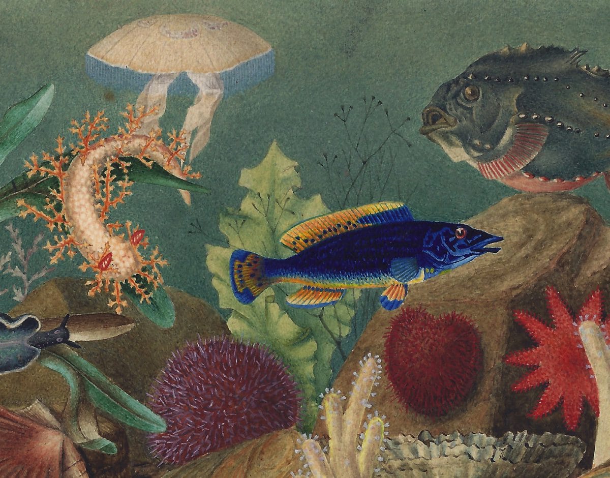 Gustav Friedrich Schlick (1804–1869) - White Rose Fine Art