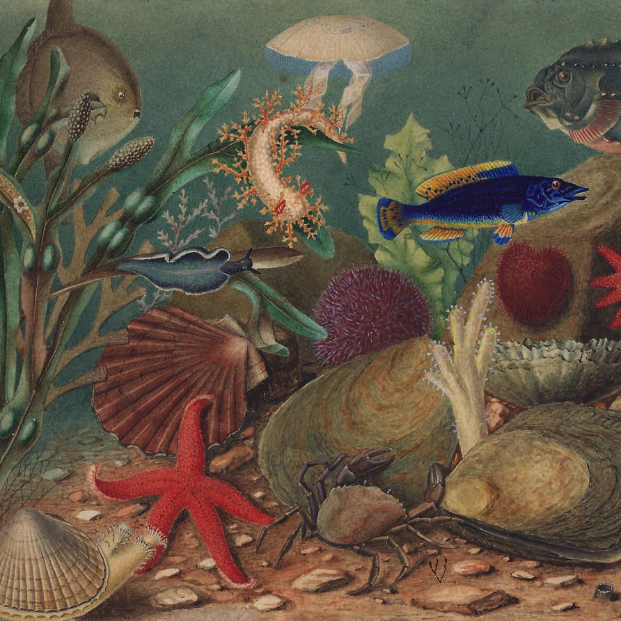 Gustav Friedrich Schlick (1804–1869) - White Rose Fine Art