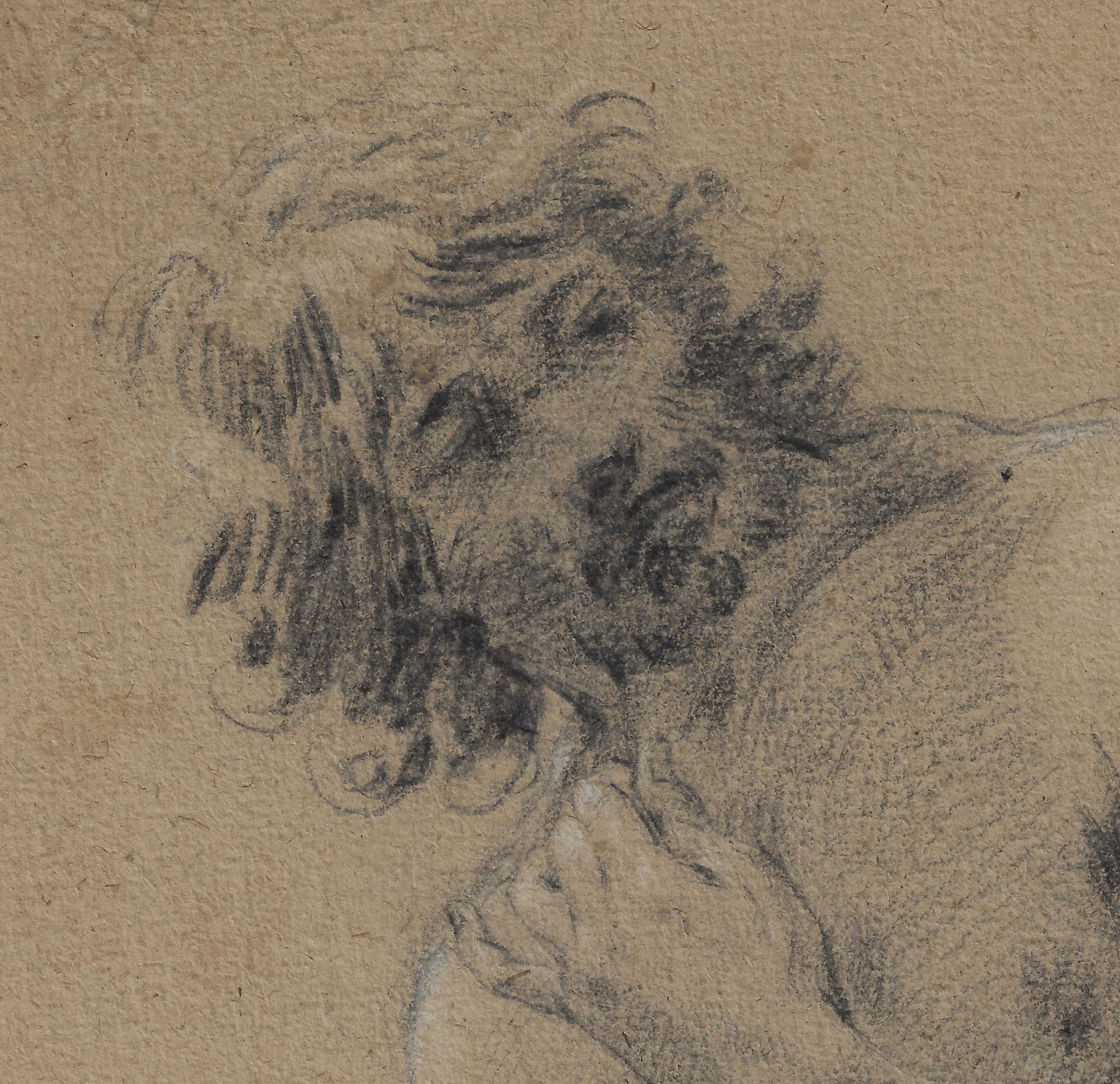 Michel Dorigny (1616–1665) - White Rose Fine Art